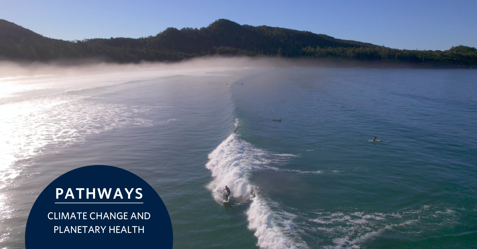 Interactive Explainer - Pathways | Climate Change & Planetary Health